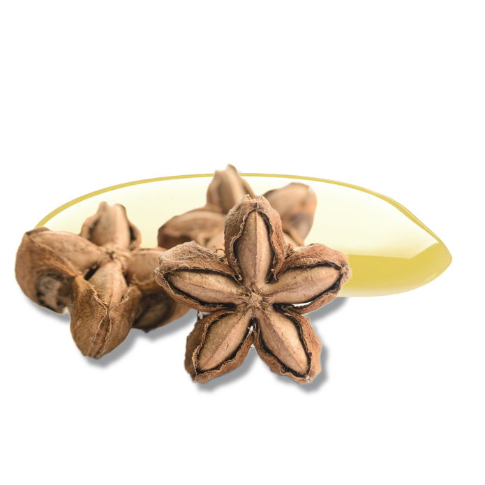 Inca Inchi® - Havlíkova přírodní apotéka