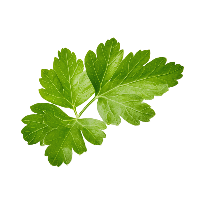 Parsley - Havlíkova přírodní apotéka